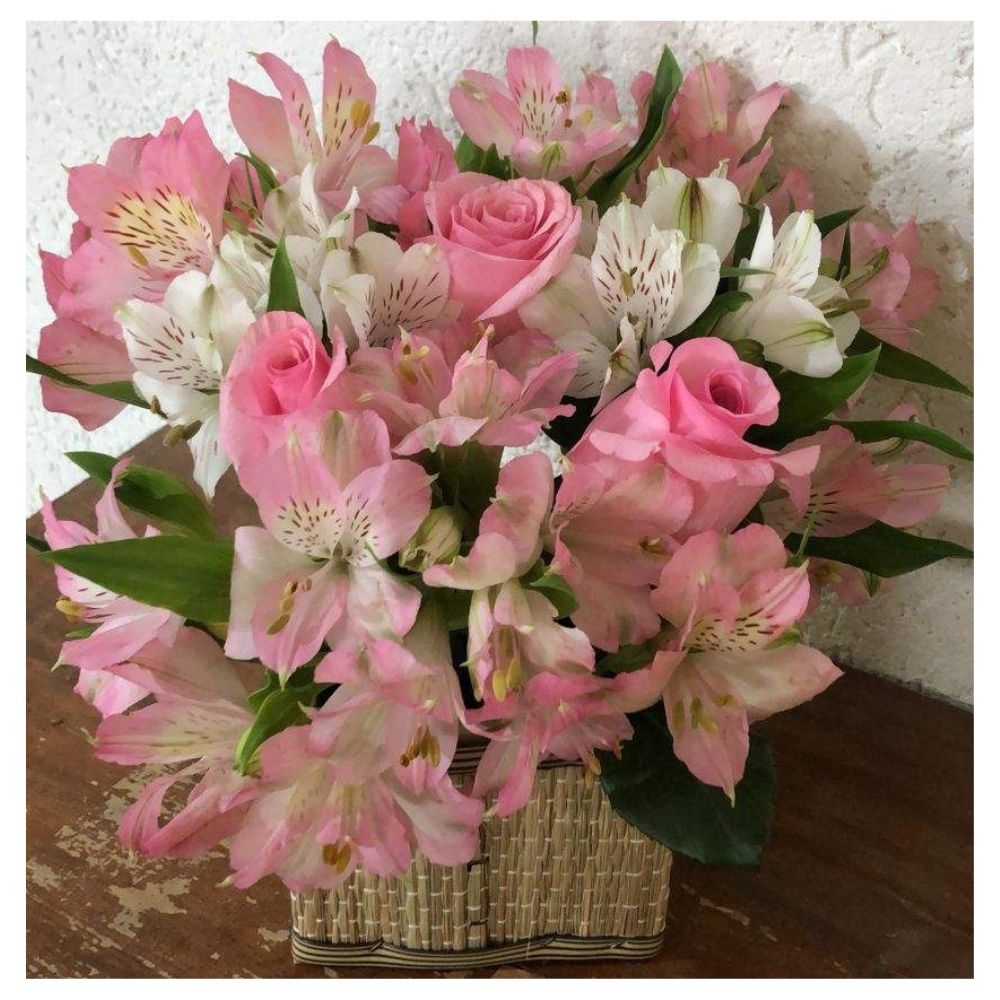 Astromélias: Buquês e Arranjos em Vasos | Melo Flores